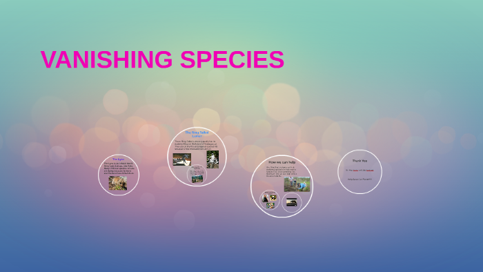 VANISHING SPECIES by Morgan Williams on Prezi