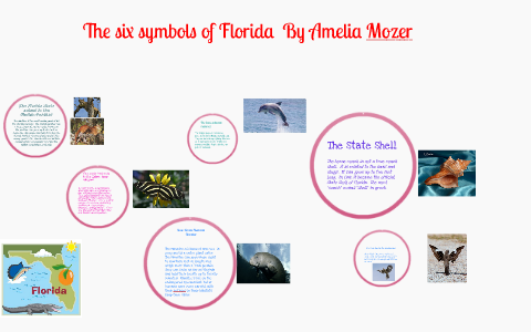 The Florida state animal is the Florida panther by Amelia Mozer on Prezi