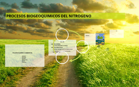 PROCESOS BIOGEOQUIMICOS by on Prezi