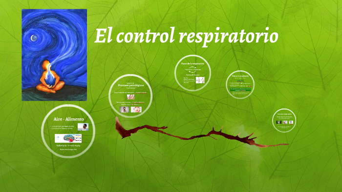 El control respiratorio by carlos peñalver on Prezi