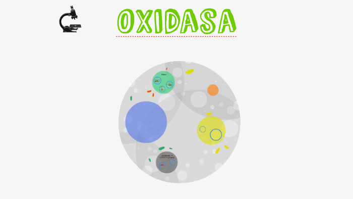 Oxidasa by Gabriel Gerstner on Prezi