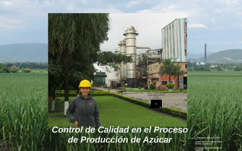 Control de Calidad en el Proceso de Producción de Azúcar by Gloria ...