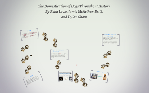 The Domestication of Dogs Throughout History by Dylan Shaw on Prezi