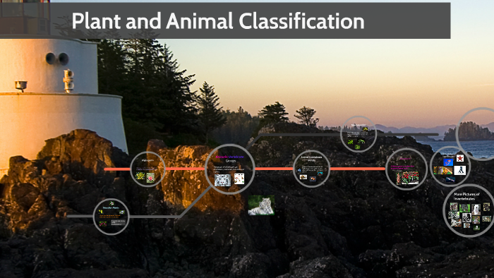 Plant and Animal Classification by Travaughn Mcdaniel
