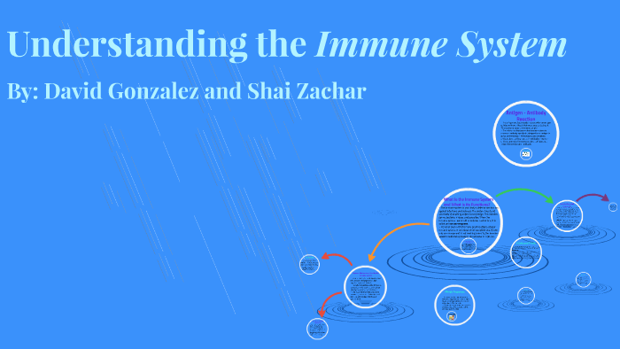 Understanding the Immune System by David Gonzalez on Prezi