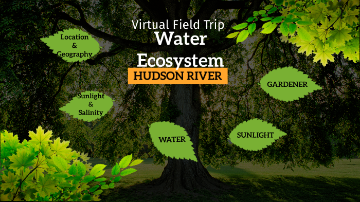Virtual Field Trip: Water Ecosystem by Dana T on Prezi