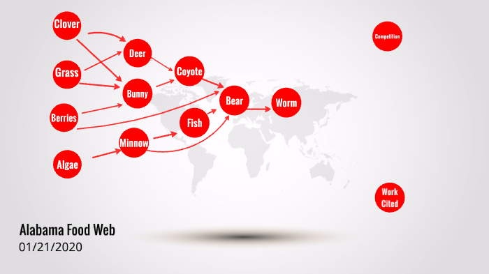 alabama food web by autum chadwick on Prezi