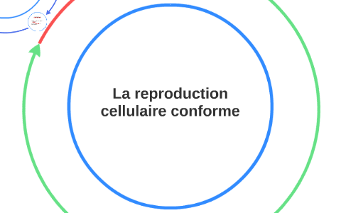 Schéma de la reproduction cellulaire conforme. by john maclayn