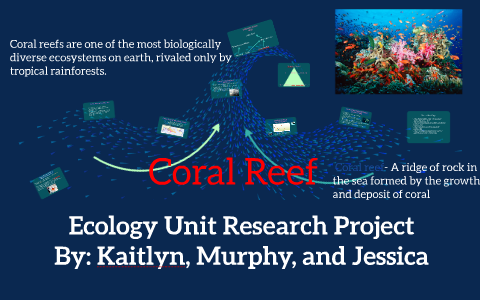 Ecology Unit Research Project by jessica sheely on Prezi