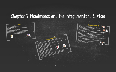 Chapter 3: Membranes and the Integumentary System by Jade Trosclair on ...