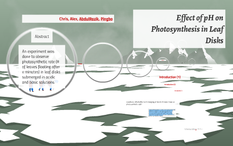 Effect of pH on Photosynthesis in Leaf Disks by Pingbo Zhou on Prezi