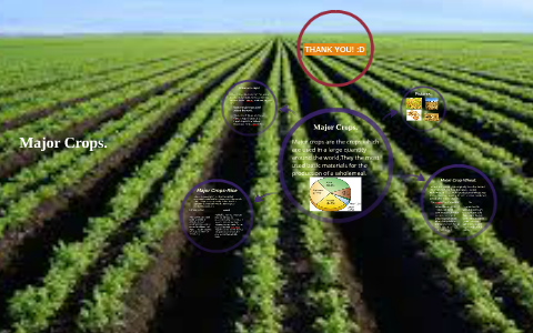 Major Crops. by on Prezi