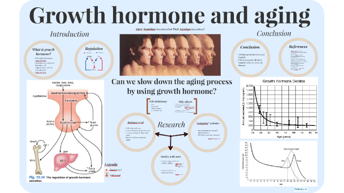 growth hormone and aging by Puck Arendsen on Prezi