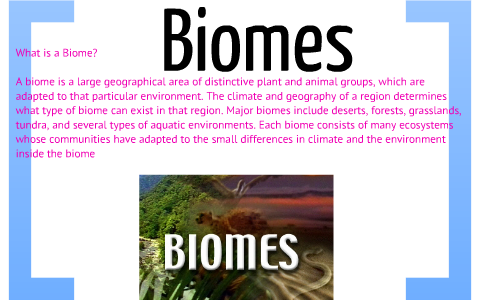 Biomes by j u on Prezi