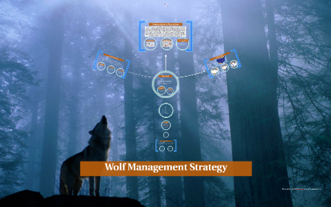 The Return of Canis Lupus? - Wolf Management Plan by Andrea Ocampo on Prezi