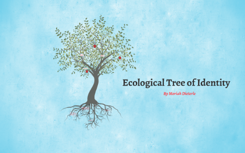 Ecological Tree of Identity by Moriah Dieterle on Prezi