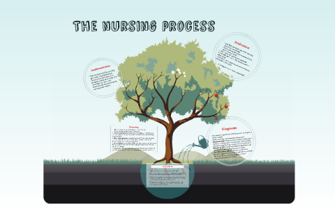 ADPIE Nursing Process by Kenzie Smith on Prezi