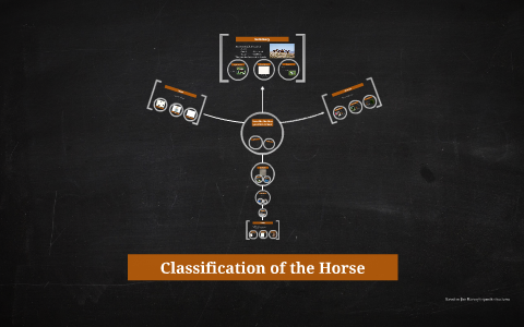 Classification of the Horse by Stacy Bender