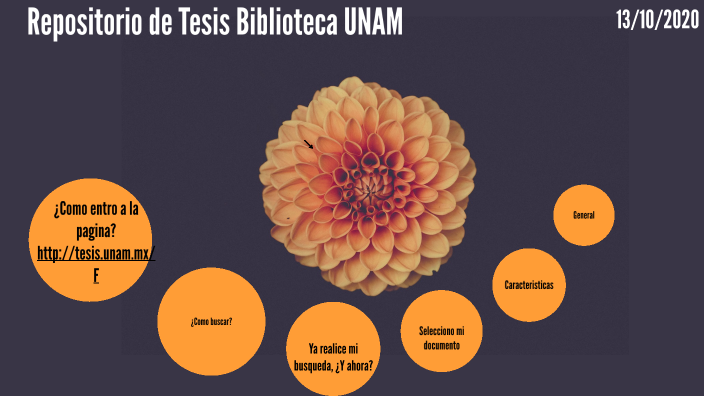 Tutorial para usar Repositorio de Tesis Biblioteca UNAM by Lizeth Piña ...