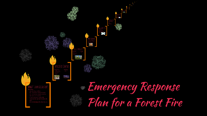 Emergency Response Plan for a Forest Fire by Jackie Nguyen on Prezi