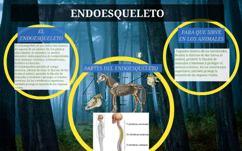 ENDOESQUELETO by SANTIAGO RIAÑO RUNZA on Prezi