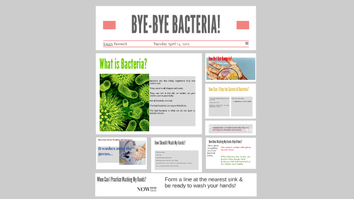 BYE-BYE BACTERIA! by Kacey Bennett on Prezi