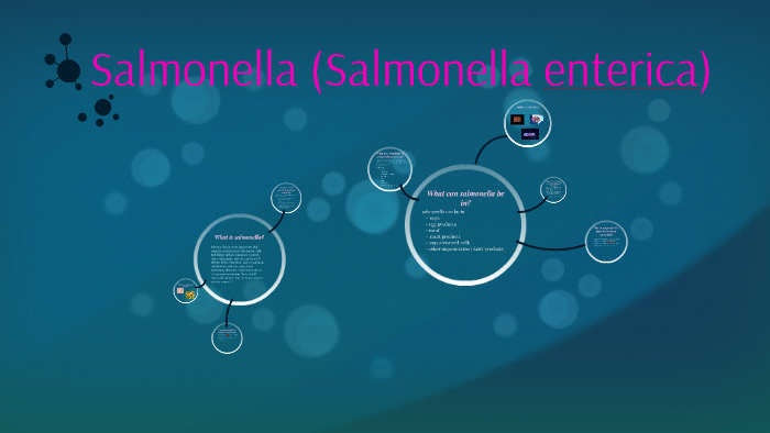 Salmonella by amber cedillo on Prezi