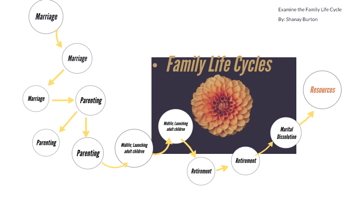 Family Life Cycles by Shanay Burton on Prezi