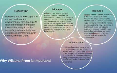 Why Wilsons Prom is Important! by Melissa Scott on Prezi