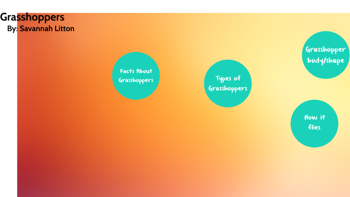 Savannah's Grasshopper Project by Savannah Litton on Prezi