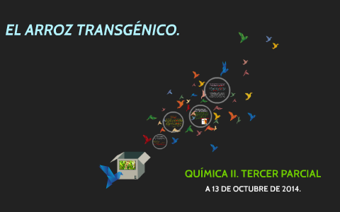 EL ARROZ TRANSGÉNICO. by DAVID CAUDILLO on Prezi