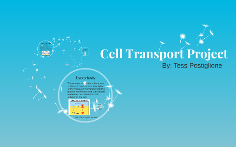 Cell Transport Project by Tess Postiglione on Prezi