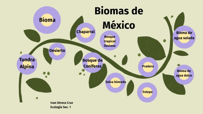 Biomas de México by Ivan Utrera on Prezi