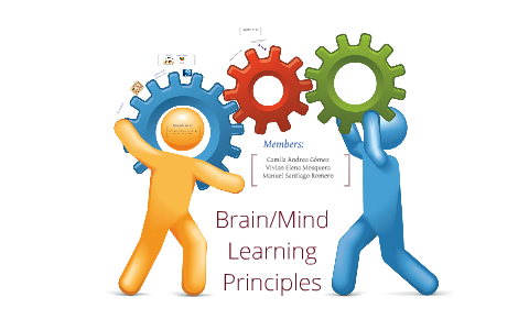 Brain/Mind Learning Principles by Vivian Mosquera on Prezi