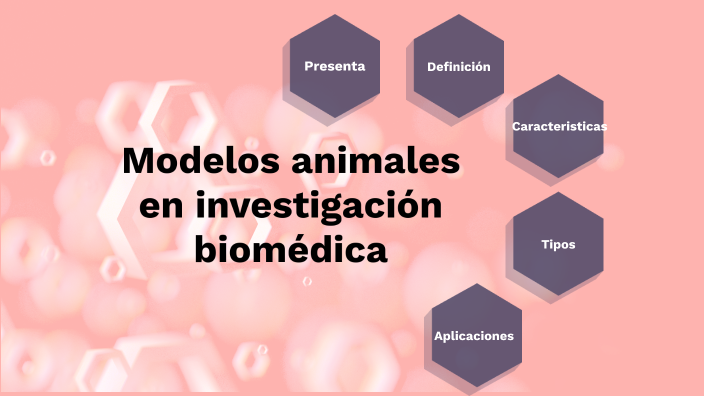 Modelos animales en investigación biomédica by Janet Sánchez on Prezi