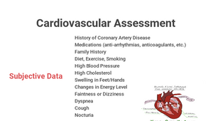 Cardiovascular Concept Map by Connor Ching on Prezi Design
