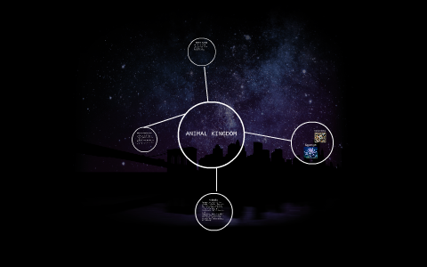 ANIMAL KINGDOM by Jake Whittle on Prezi