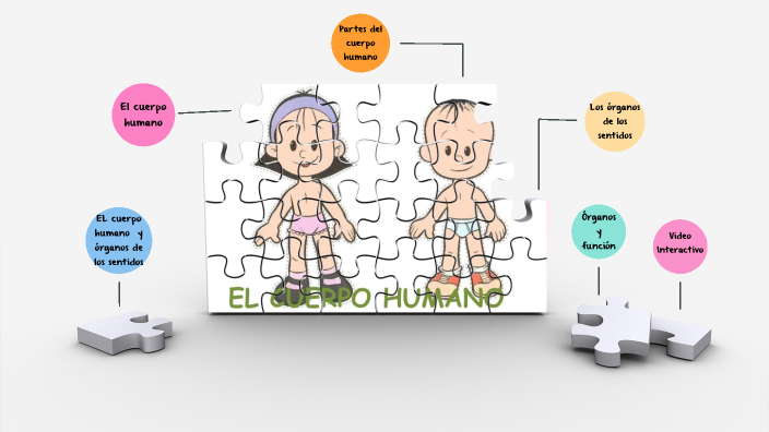 El cuerpo humano y órganos de los sentidos by Mara Cisneros on Prezi