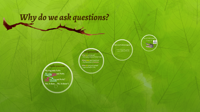 Why do we ask questions? by Avishag Sudai on Prezi