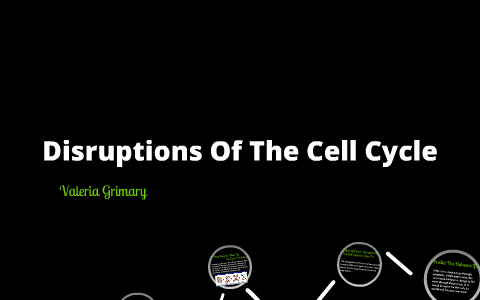 Disruptions of the Cell Cycle by Valeria Grimary on Prezi
