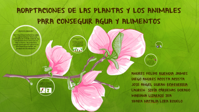 ADAPTACIONES DE LAS PLANTAS Y LOS ANIMALES by ana maria lizarazo zea