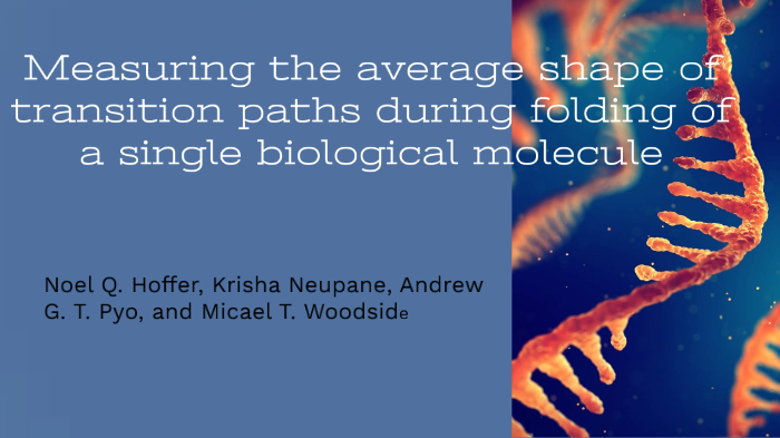 biophys by Alia Hamdan on Prezi