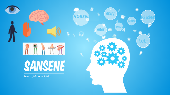 sansene by Ida Edvardsen on Prezi
