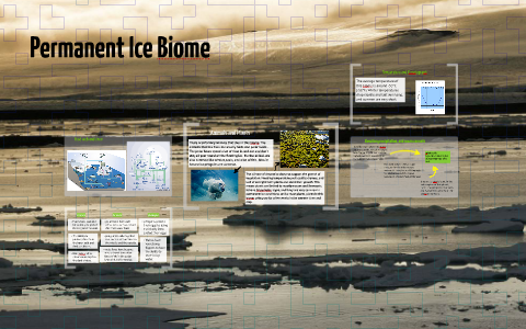 Permanent Ice Biome by bater bajj