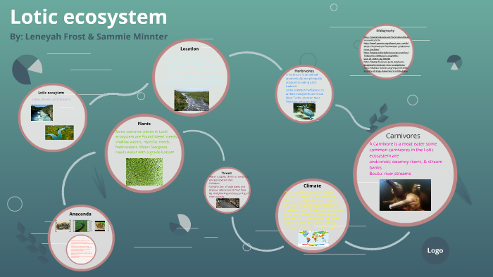 Lotic ecosystem by leneyah frost on Prezi