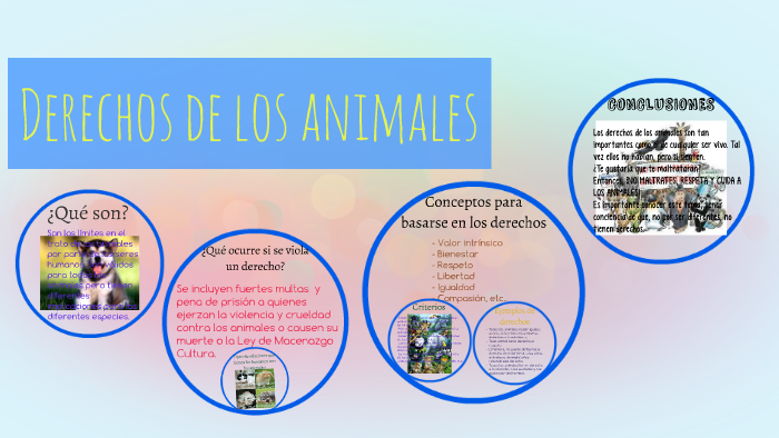 Derechos de los animales by Fatima Romero on Prezi