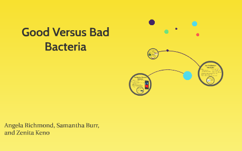 Good Versus Bad Bacteria by Angela Richmond