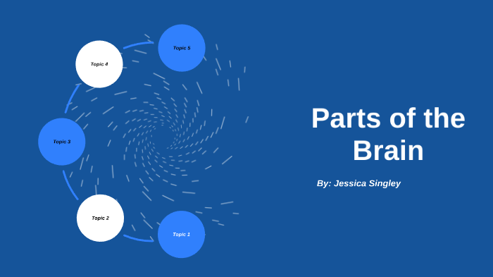 Parts of the Brain by Jessica Singley on Prezi