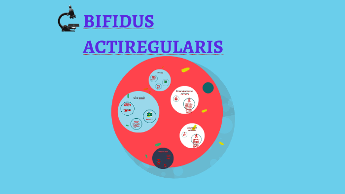 BIFIDUS ACTIREGULARIS by Manuela Maria on Prezi