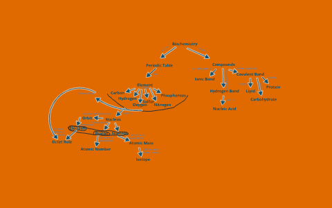 Biochemistry Concept Map by Tyler Bailey